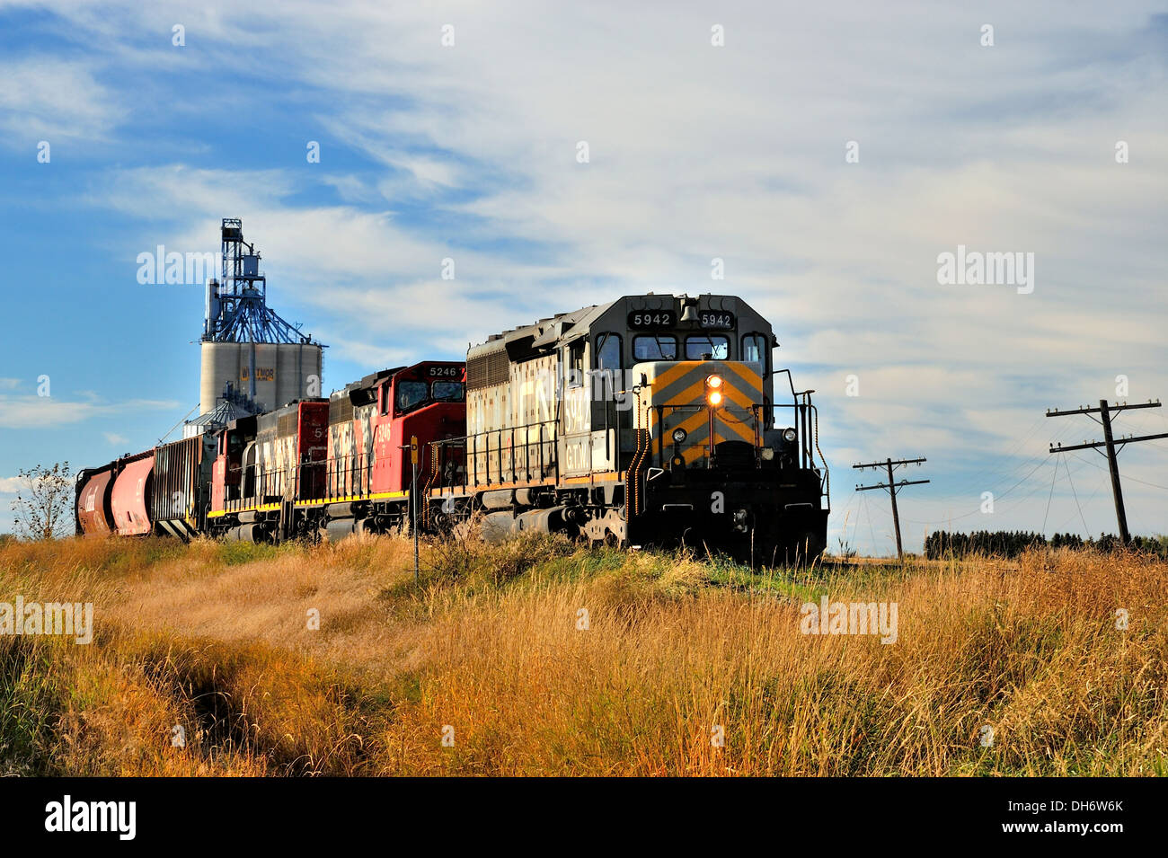 A Canadian National freight rain loading grain from a grain storage ...