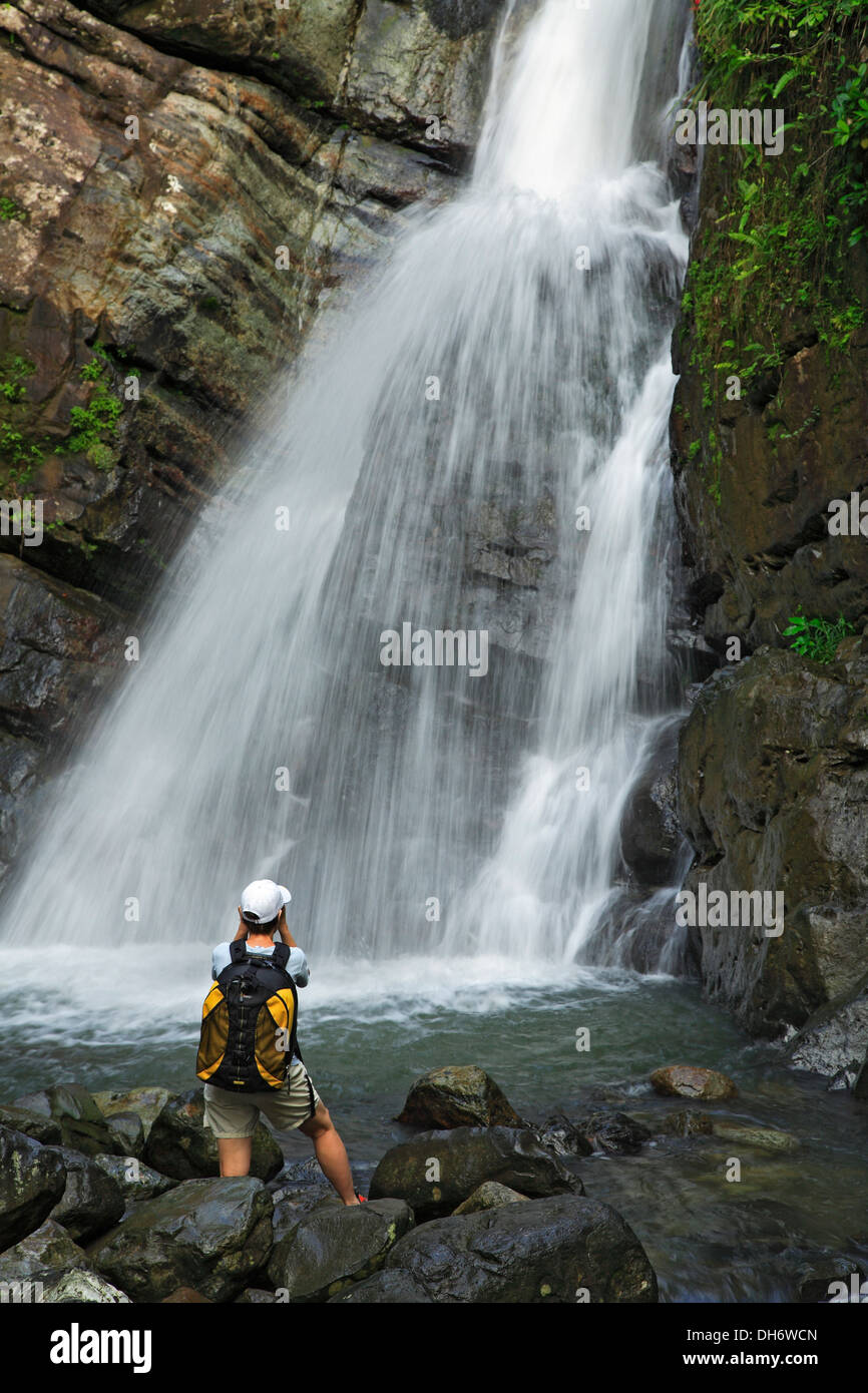 Female photographer, La Mina Waterfalls, Caribbean National Forest (El ...