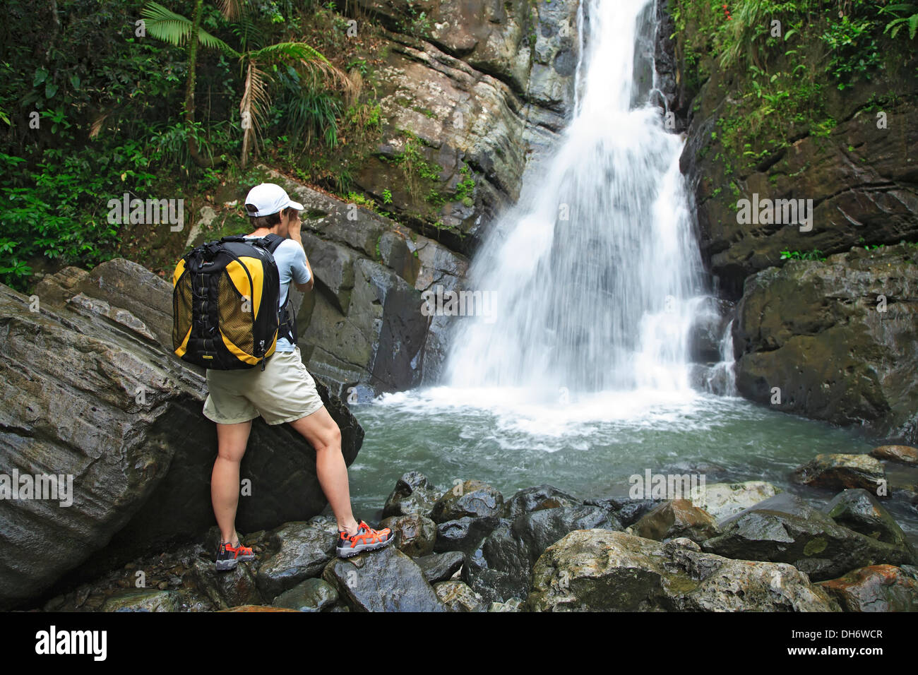 Female photographer, La Mina Waterfalls, Caribbean National Forest (El ...