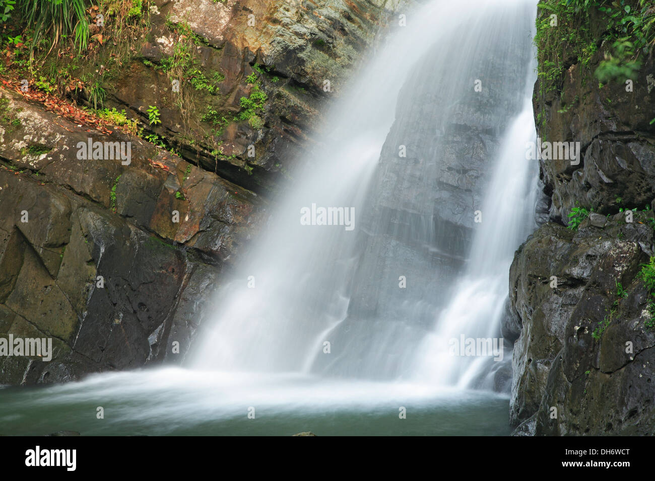 La Mina Waterfalls, Caribbean National Forest (El Yunque), Puerto Rico ...