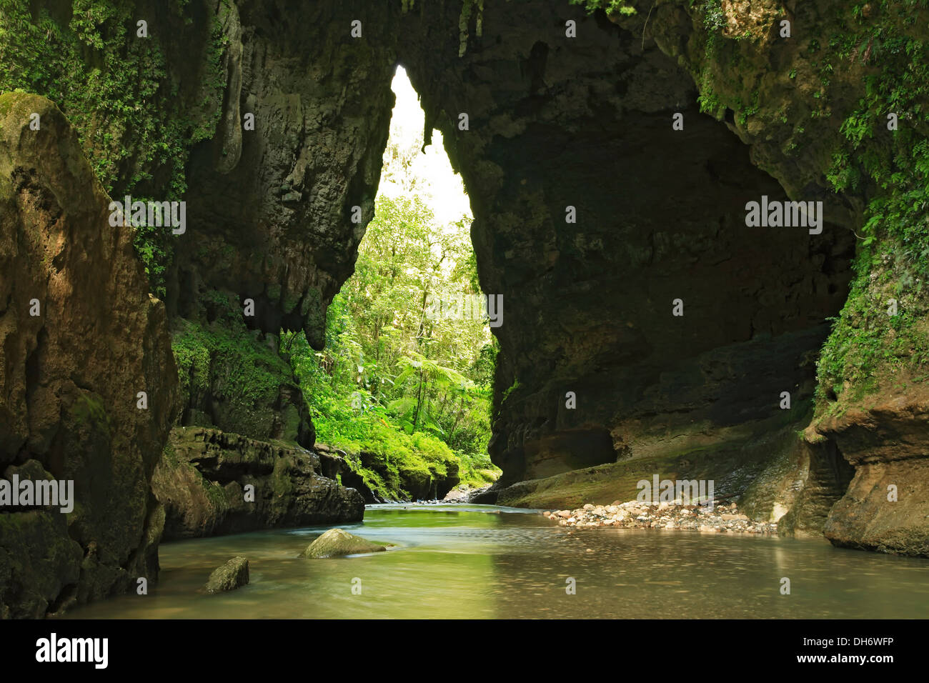 Tanama River and limestone cave, near Utuado, Puerto Rico Stock Photo ...