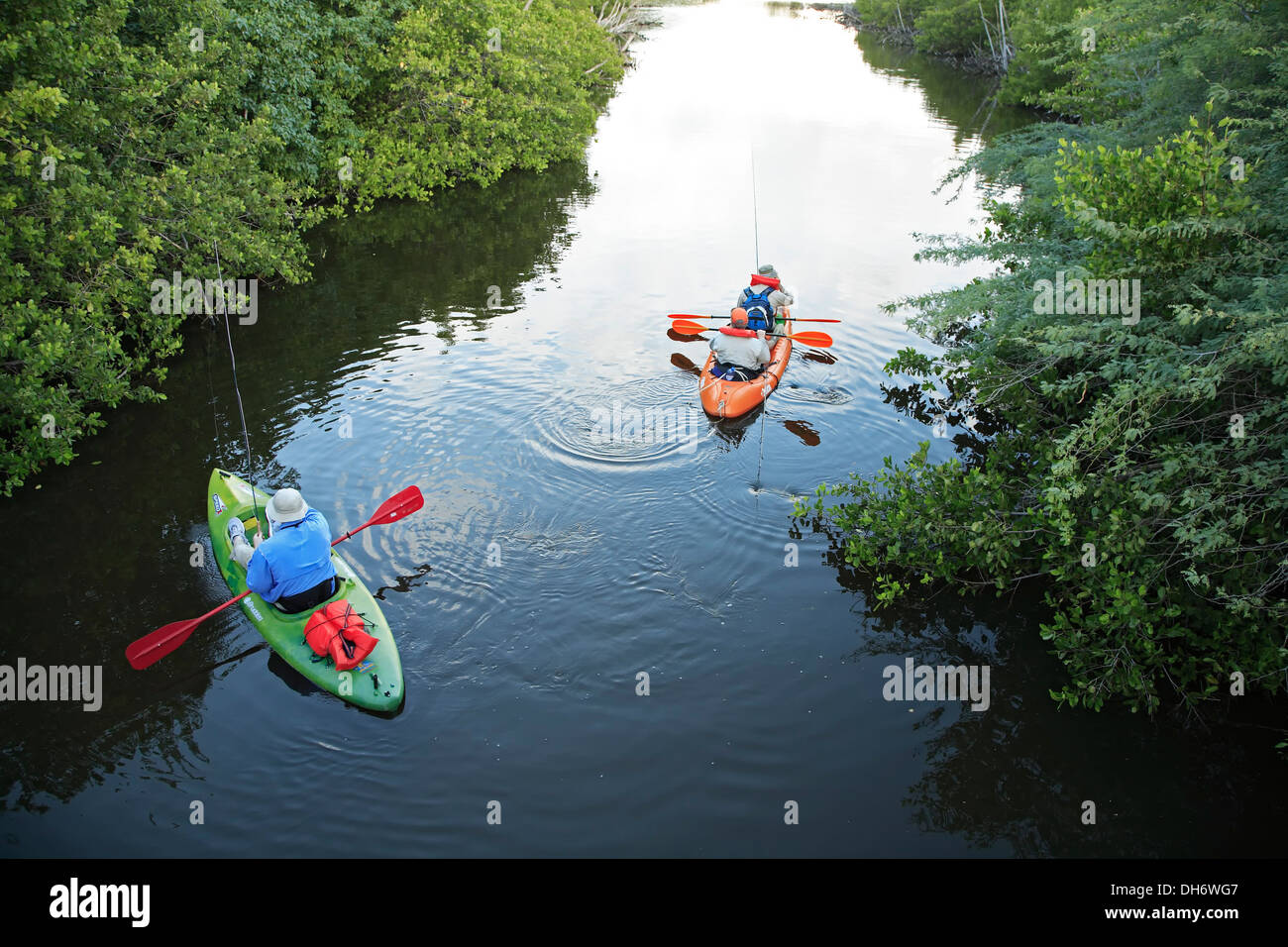 Mosquito bay vieques hi-res stock photography and images - Alamy
