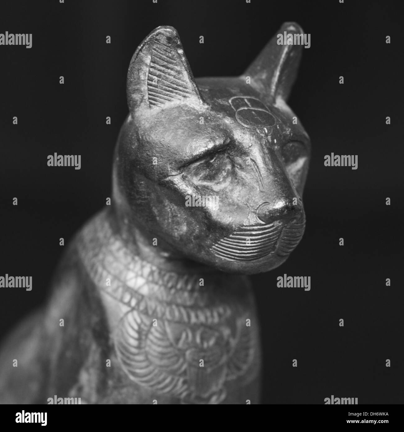 Egyptian cat hi-res stock photography and images - Alamy