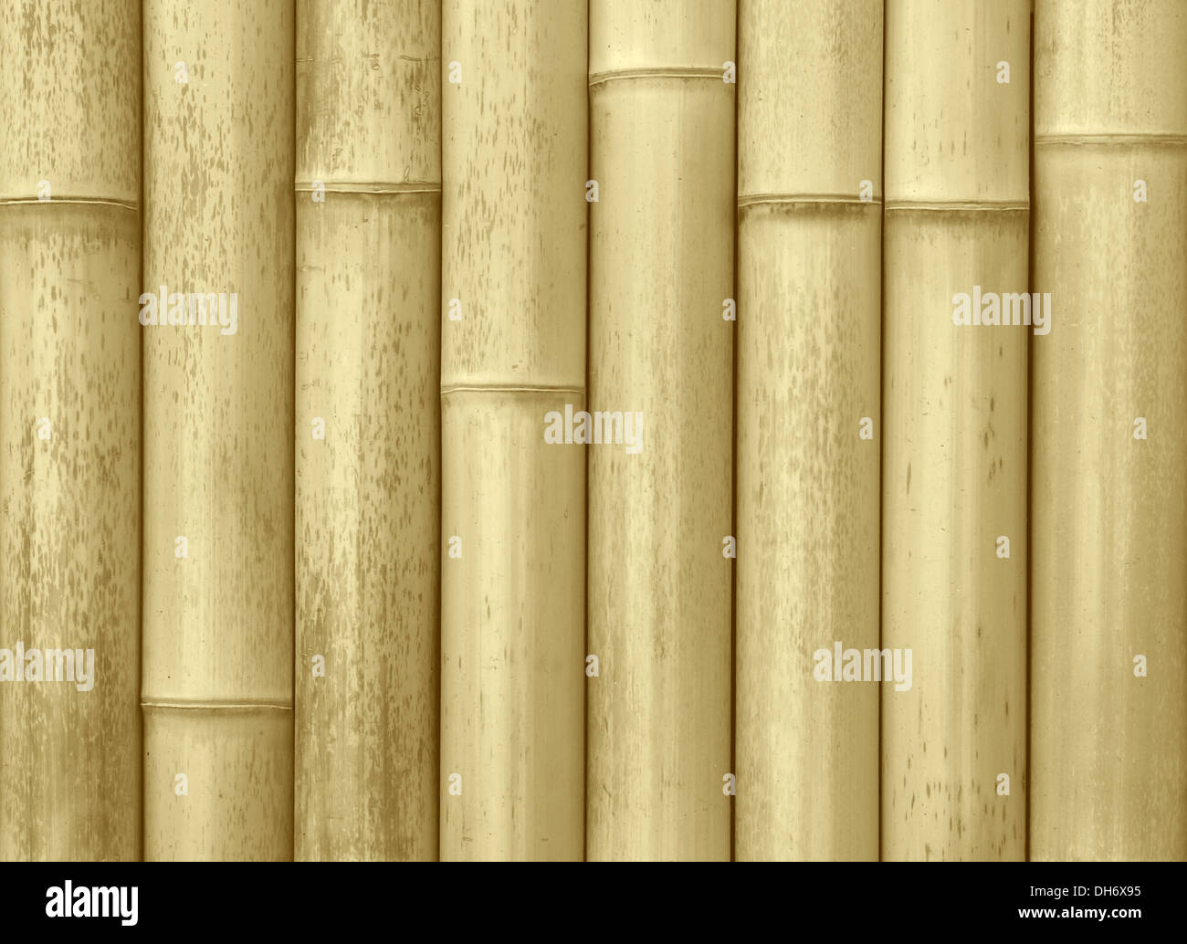 close up of wall made of bamboo planks Stock Photo - Alamy