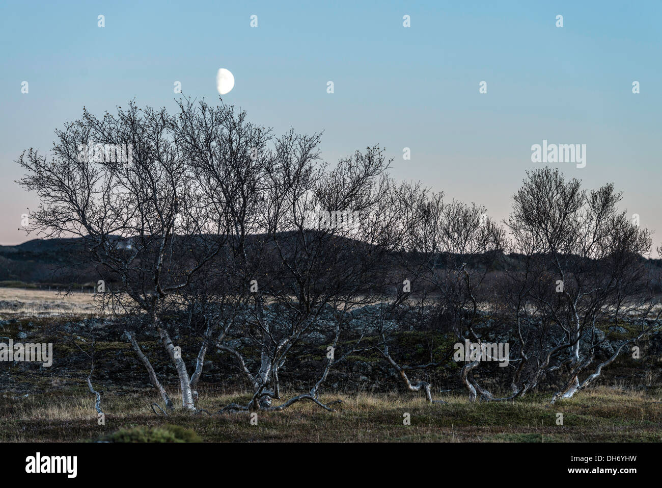 Half moon hi-res stock photography and images - Alamy