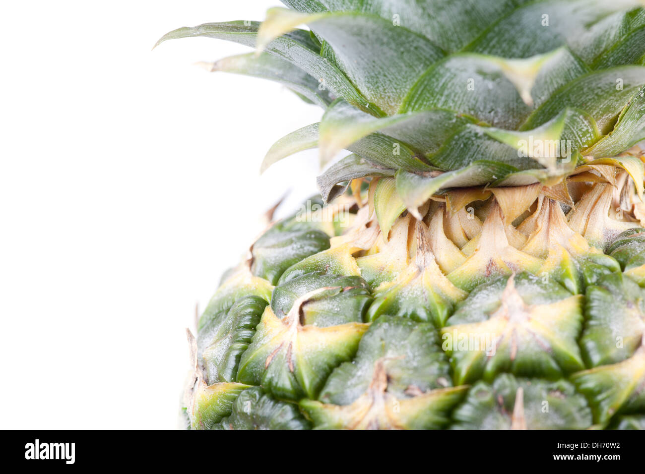 not ripe pineapple in white background Stock Photo - Alamy