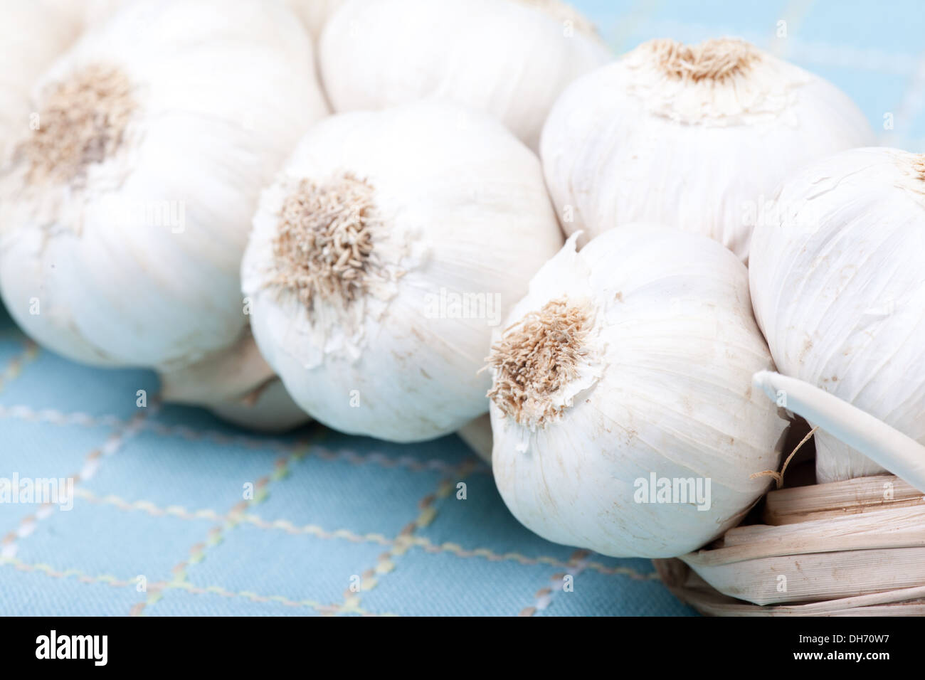 garlic heads on the string in blue background Stock Photo - Alamy