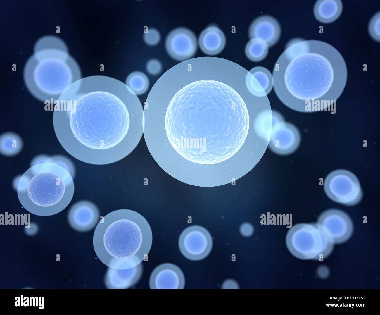 Blue human egg cells background Stock Photo - Alamy