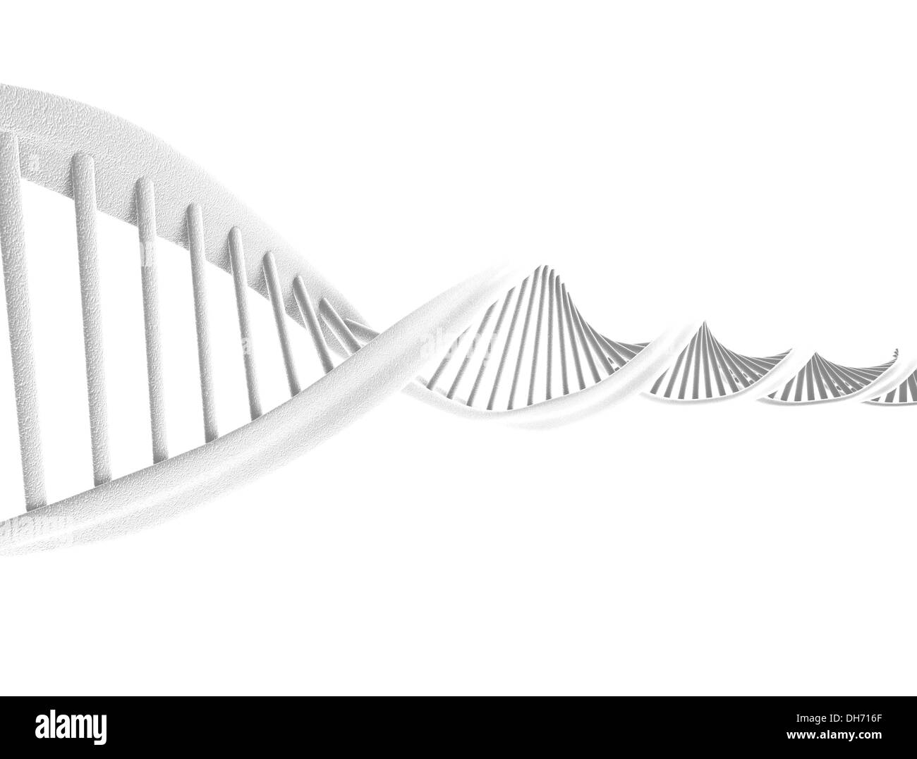 Dna strand and white background Black and White Stock Photos & Images ...