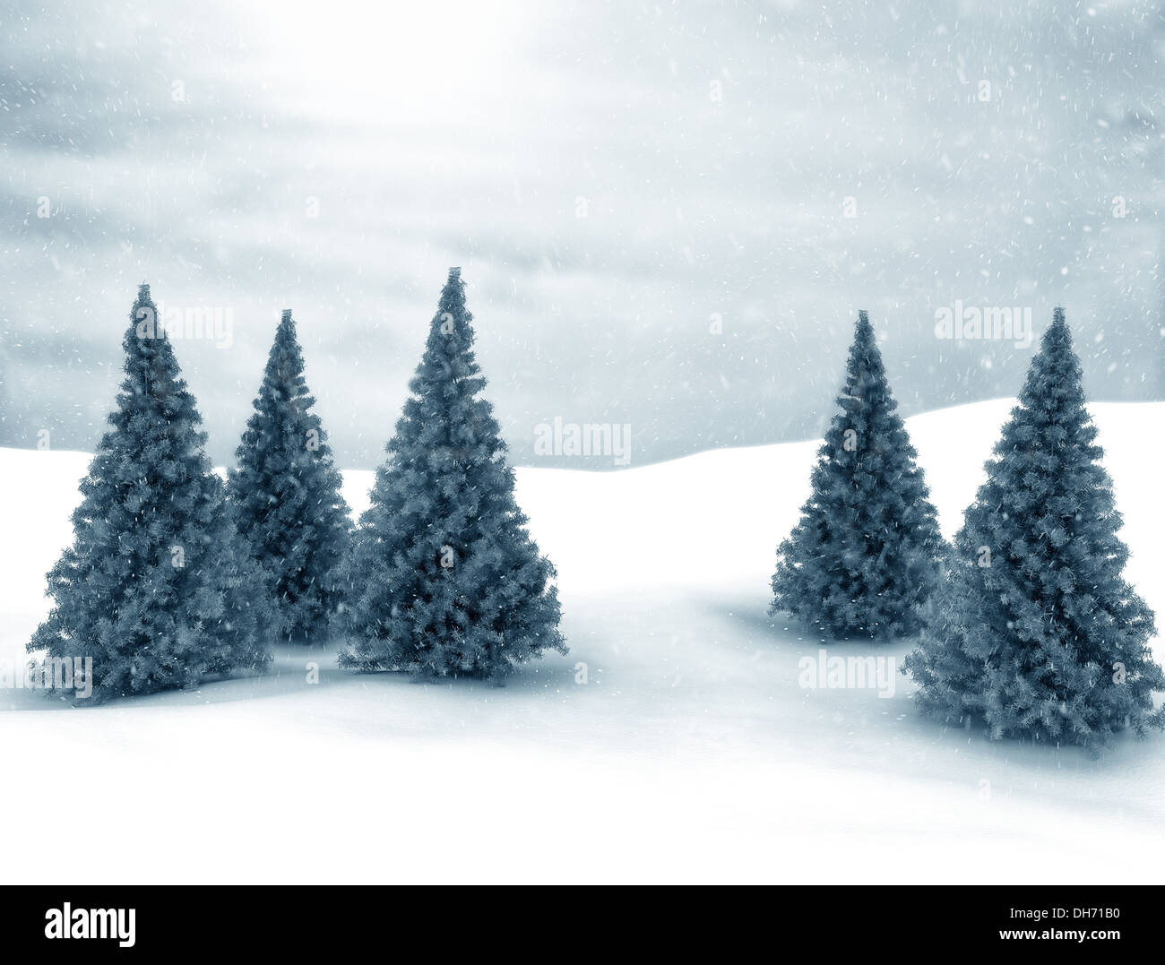 Winter scene pine trees and snow Stock Photo - Alamy