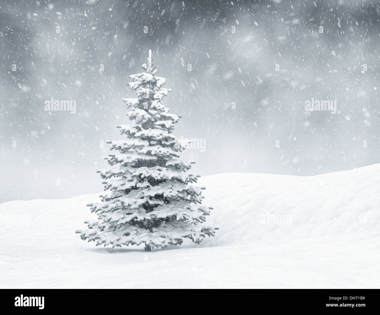 Christmas background, snow and pine tree Stock Photo - Alamy