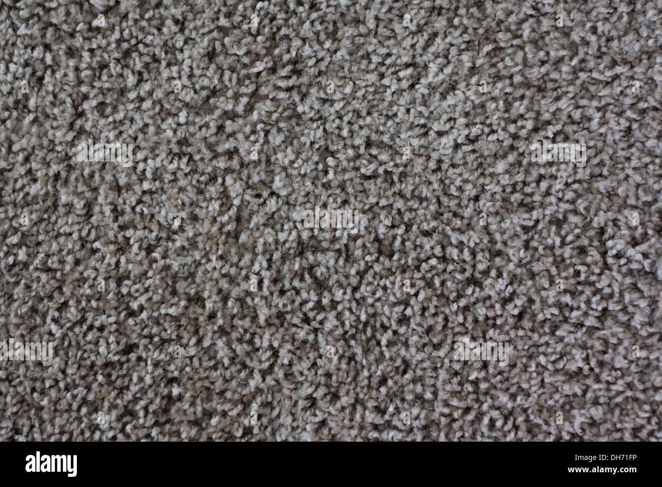 Silver rug hi-res stock photography and images - Alamy