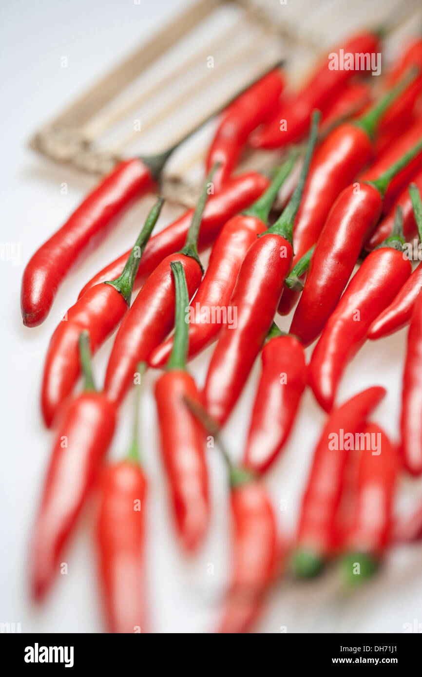 Red chilli peppers Stock Photo - Alamy