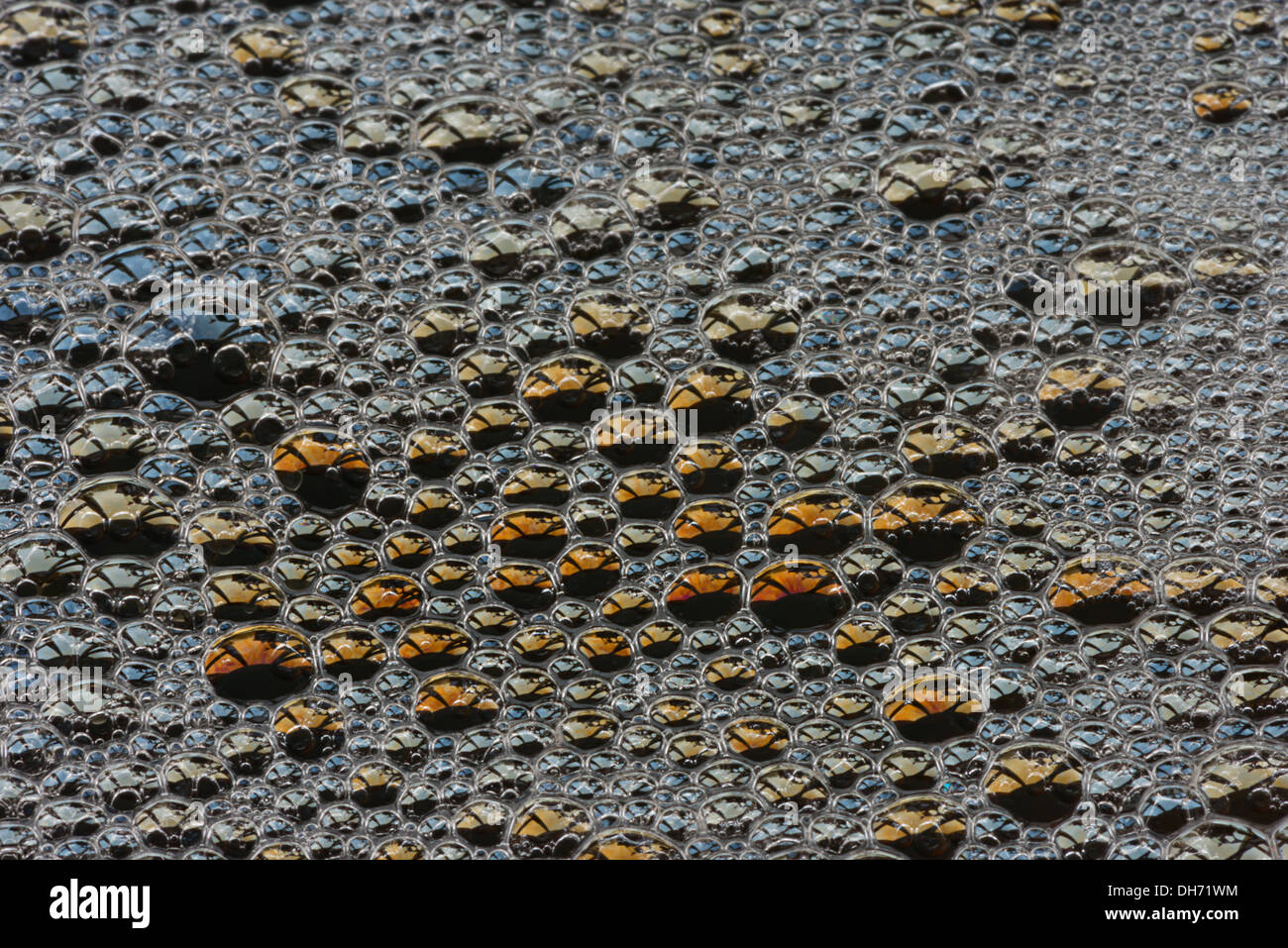 Bubbles with spectral colors being diffracted through thin surface film ...