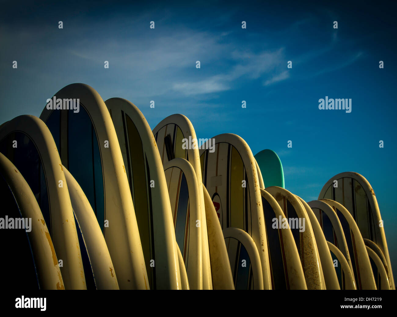 surf boards in the sunset Stock Photo - Alamy