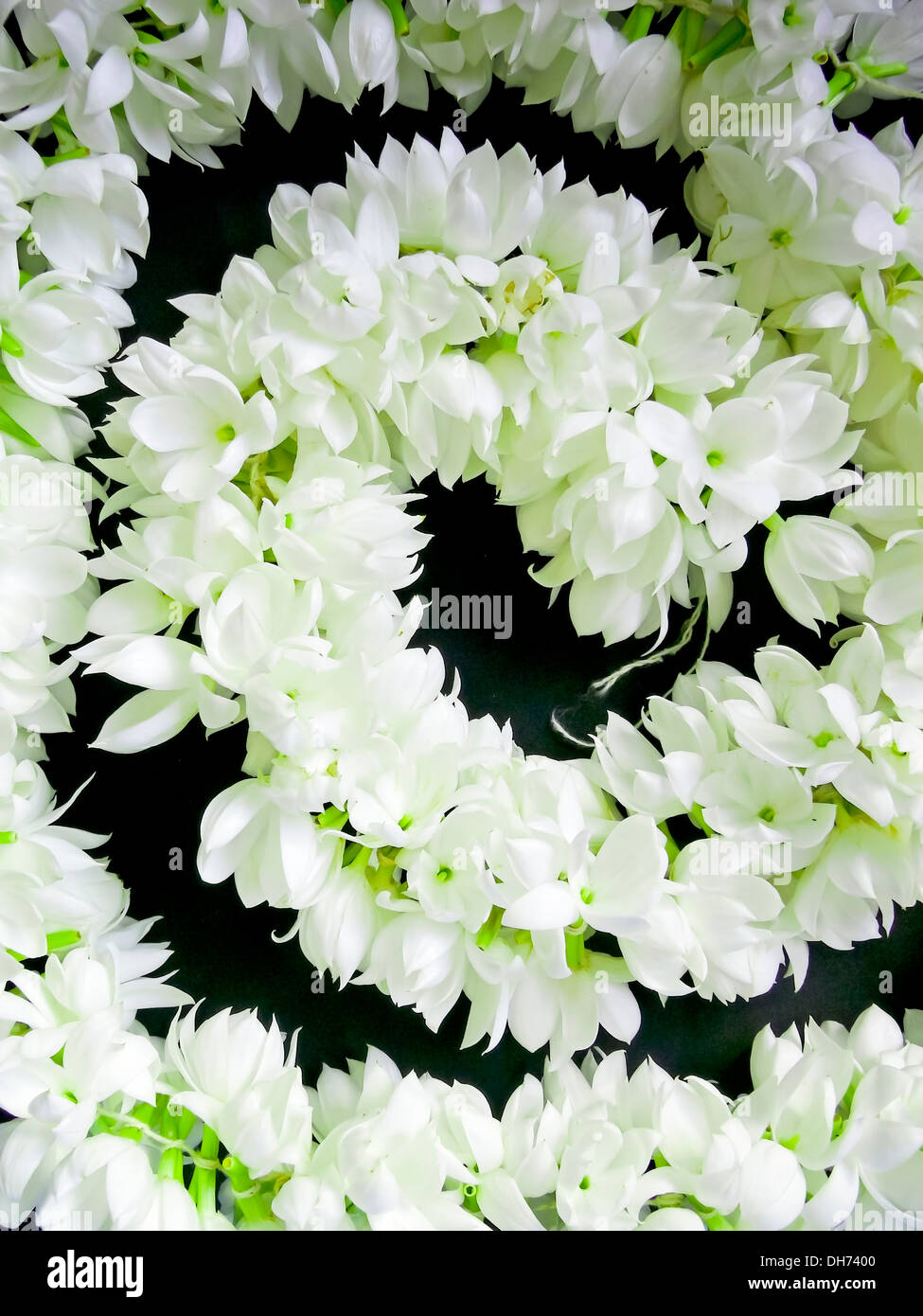 Festoon garland hi-res stock photography and images - Alamy
