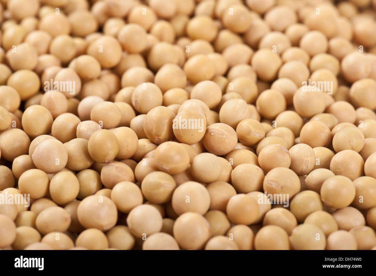 Textured soybeans hi-res stock photography and images - Alamy