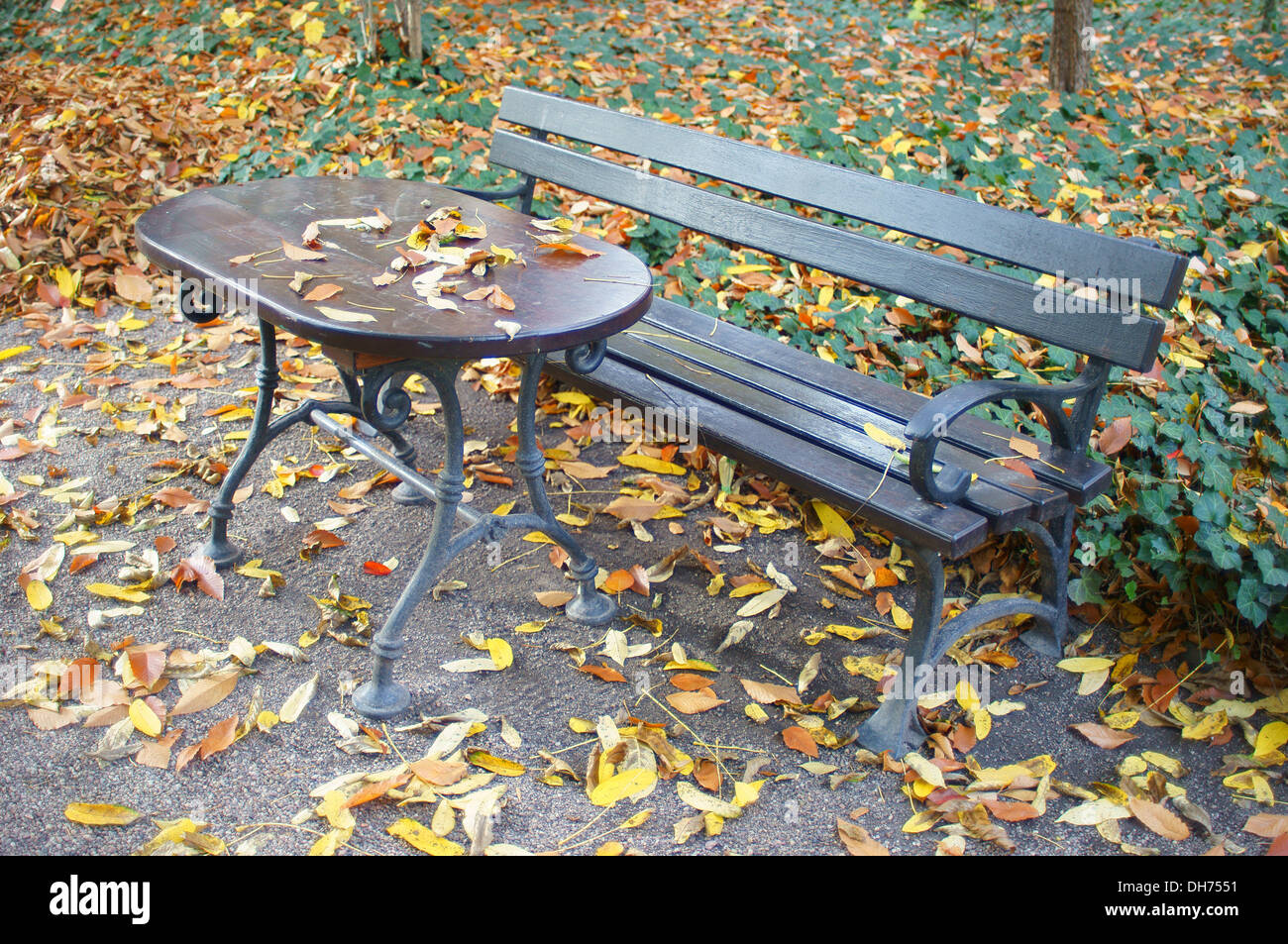 Park bench and table in fallen autumn leaves Stock Photo - Alamy