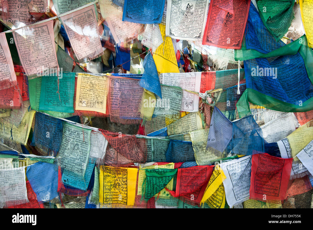 Praying flags at Buddhist monastery. India, Ladakh, Spituk Gompa Stock ...