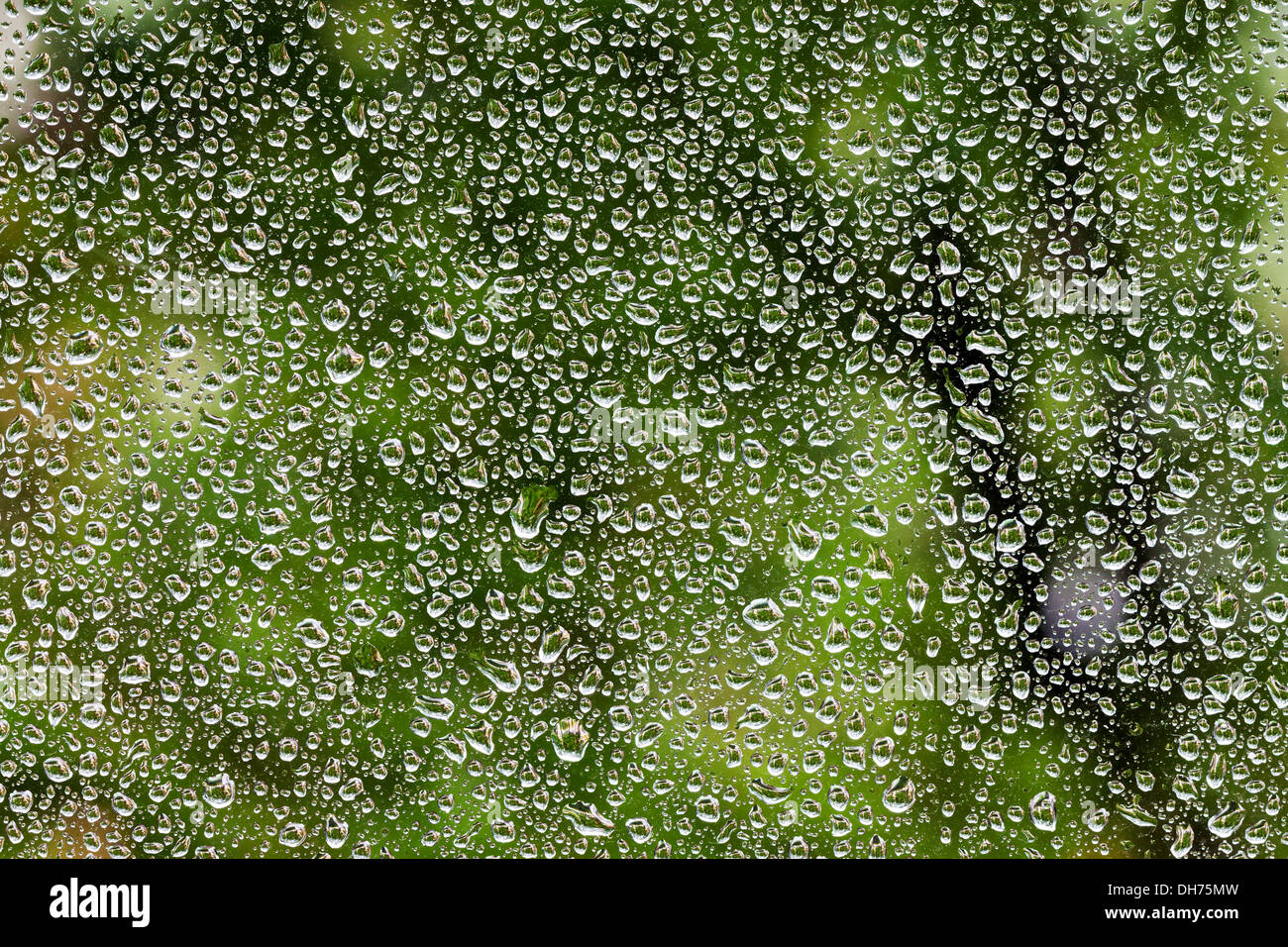 background from water drops on glass Stock Photo - Alamy
