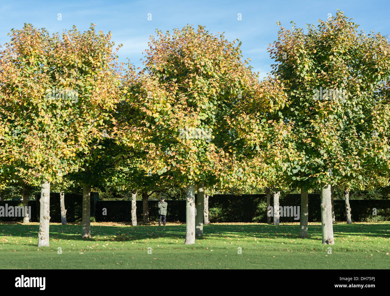 Disapproval hi-res stock photography and images - Alamy