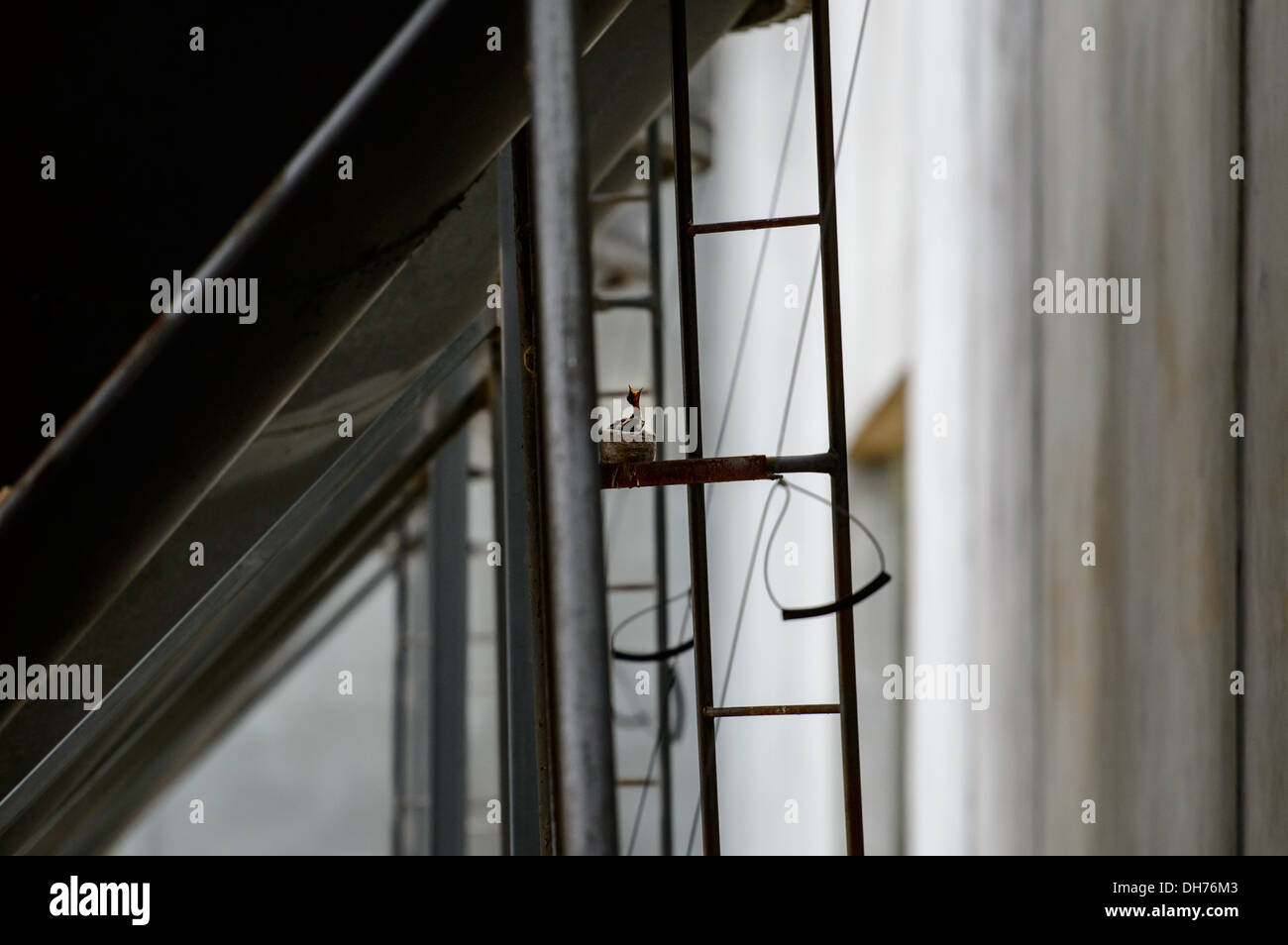 Parents hope hi-res stock photography and images - Alamy