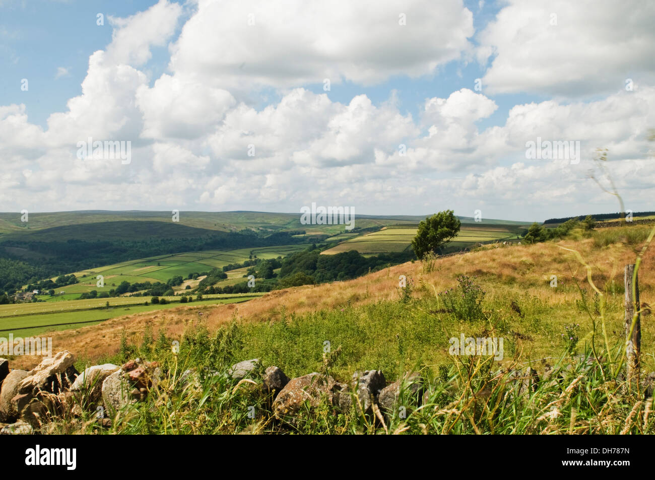 Bleak moors hi-res stock photography and images - Alamy