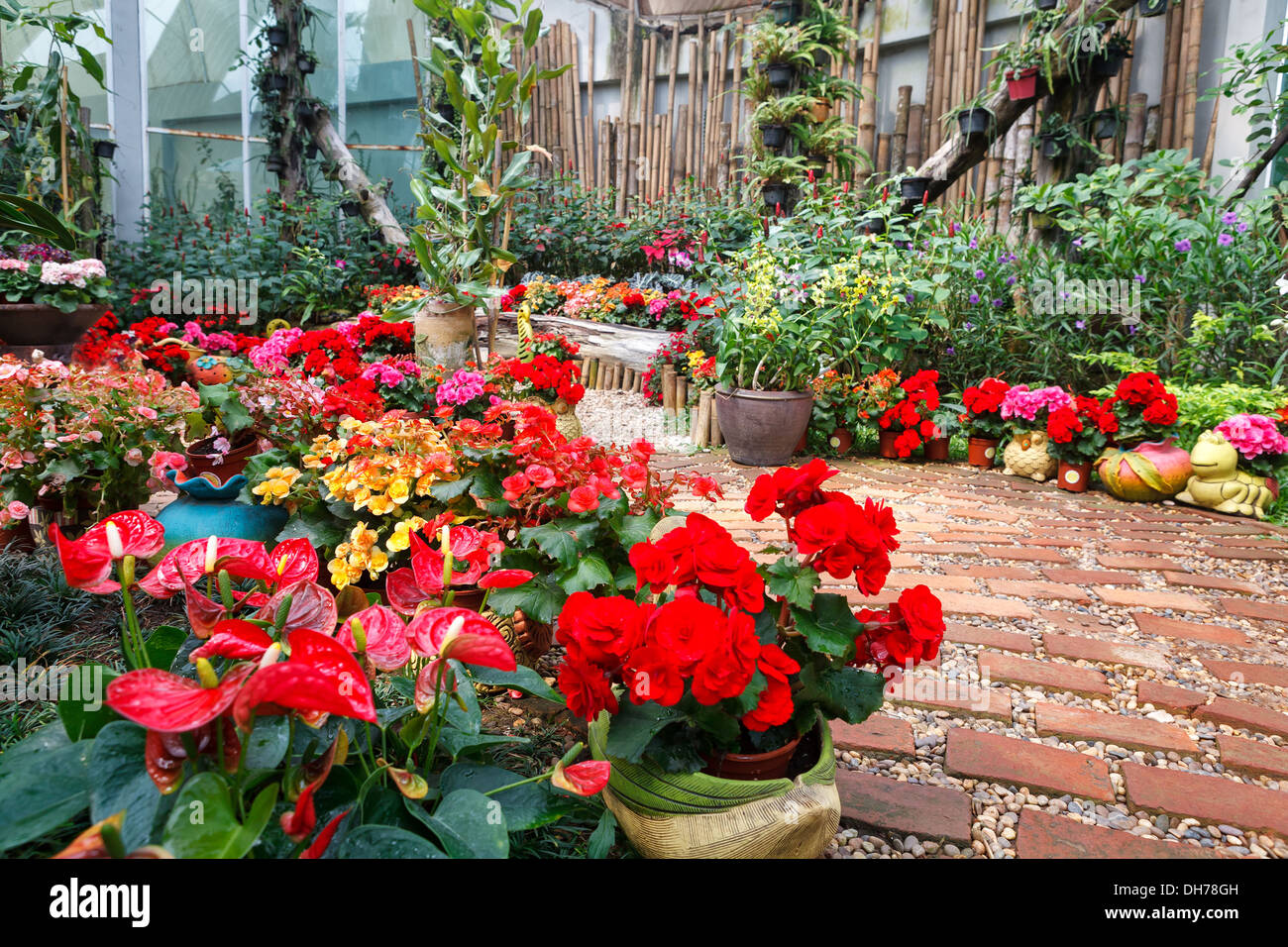 Greenhouse for the intensive cultivation of flowering plants Stock ...