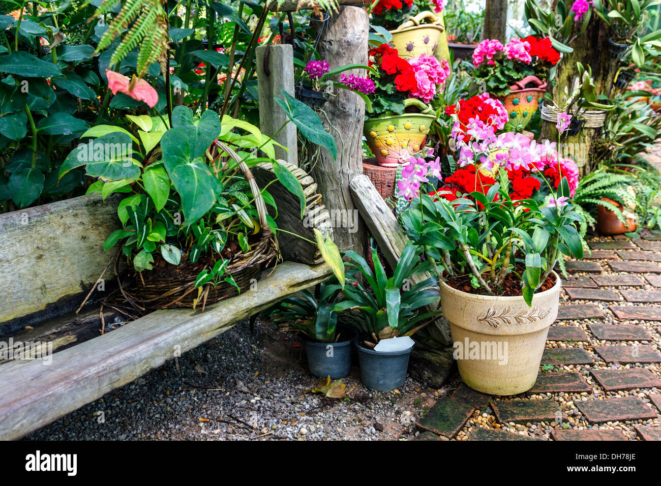Greenhouse for the intensive cultivation of flowering plants Stock ...