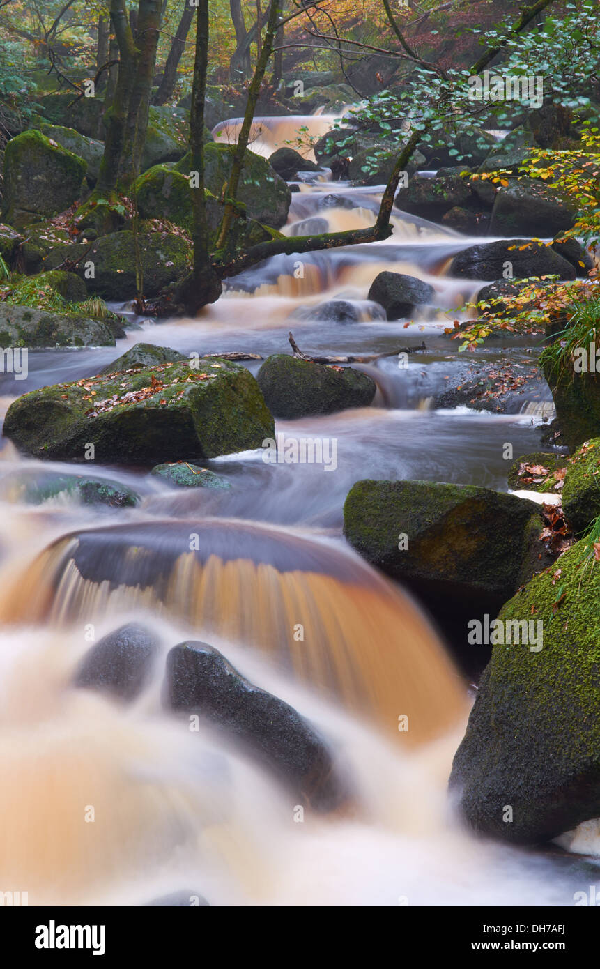 Padley gorge detail hi-res stock photography and images - Alamy