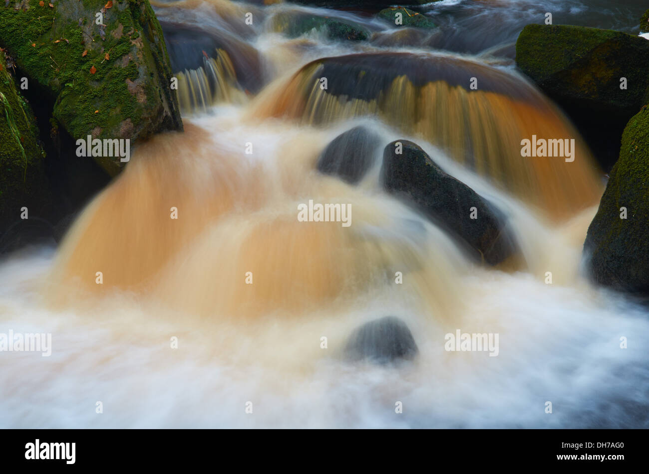 Padley gorge detail hi-res stock photography and images - Alamy