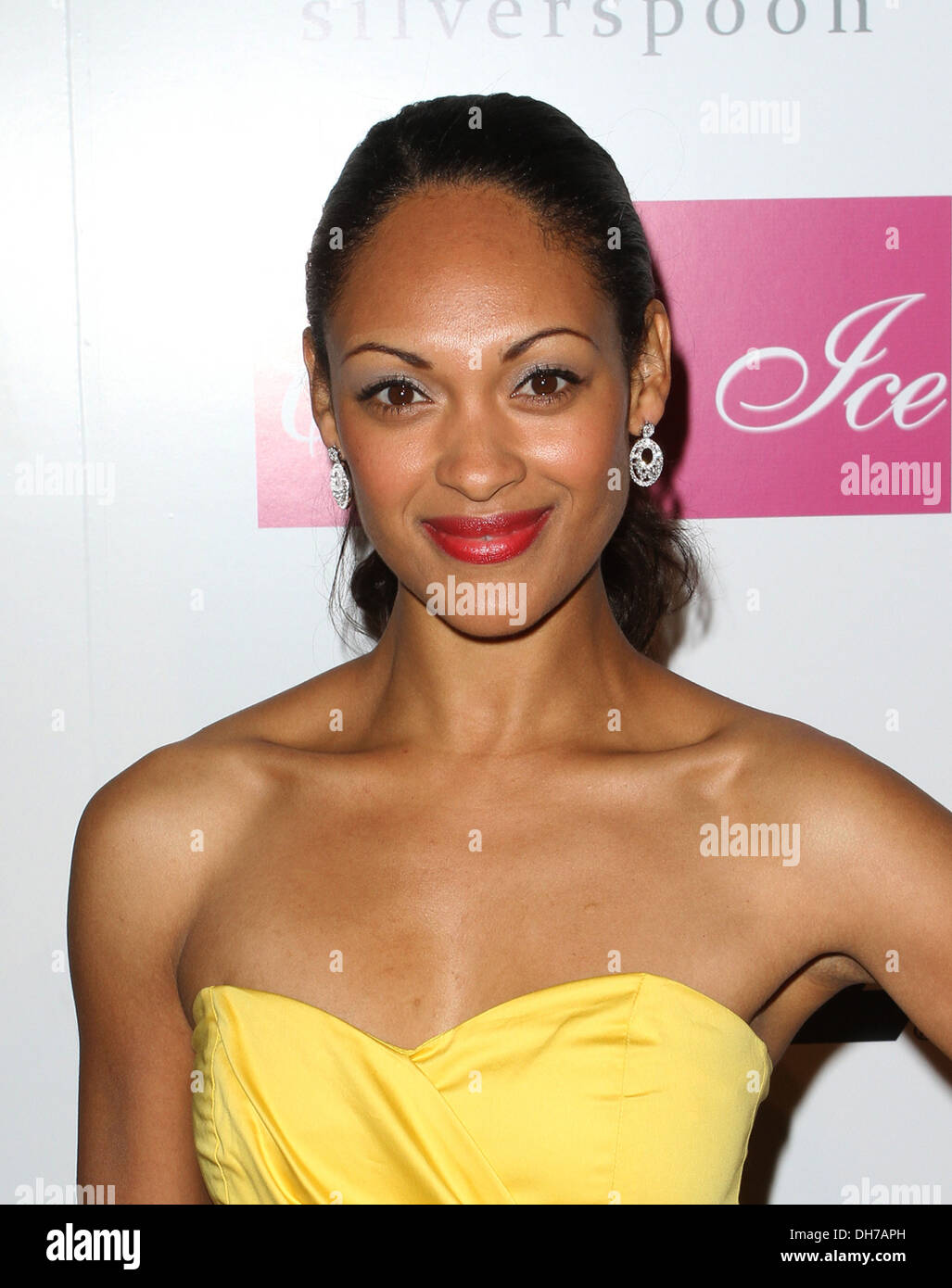 Cynthia Addai Robinson Visual Impact Now Charity Event Held at ...