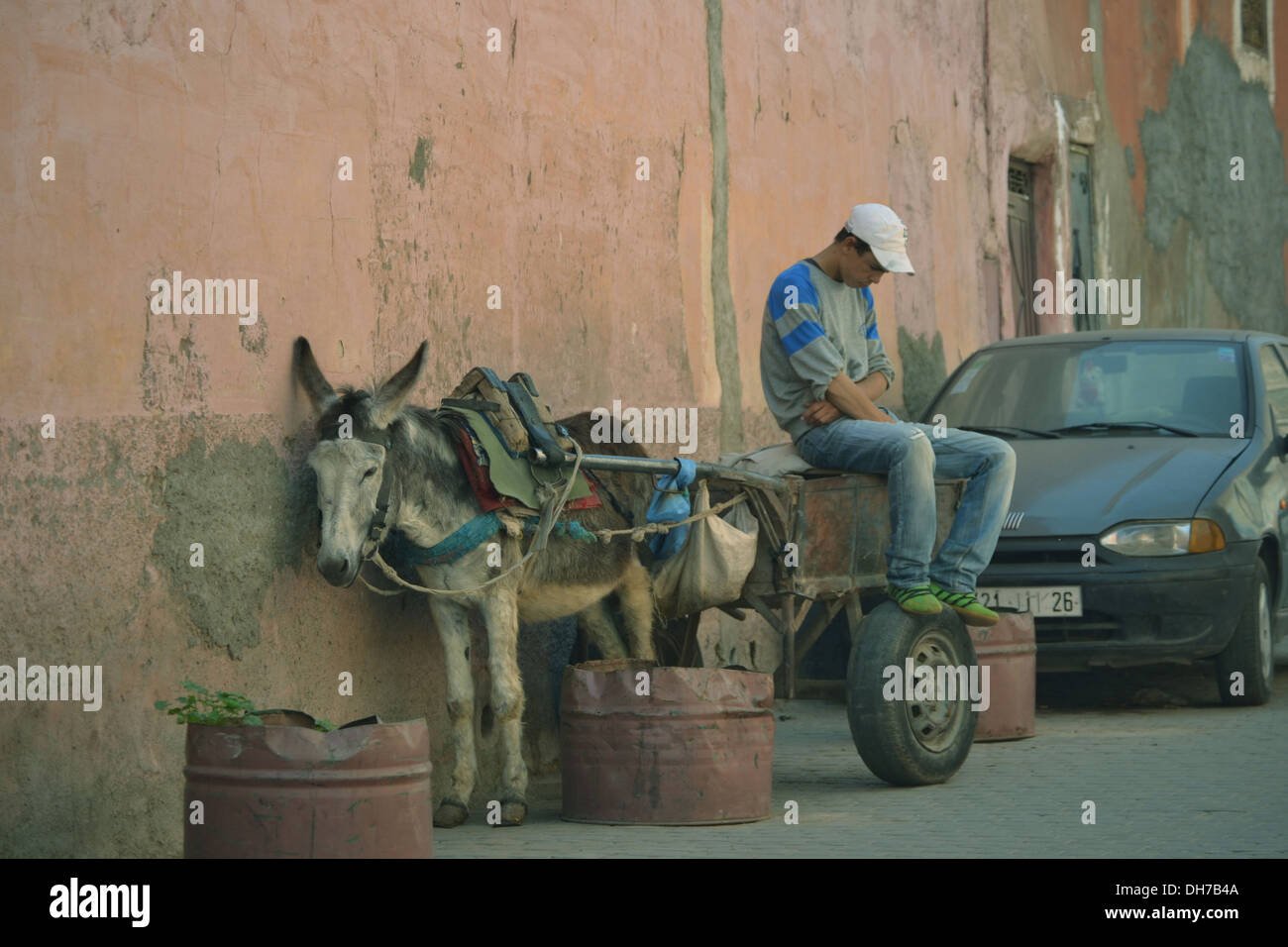 Donkey and driver sleeping hi-res stock photography and images - Alamy