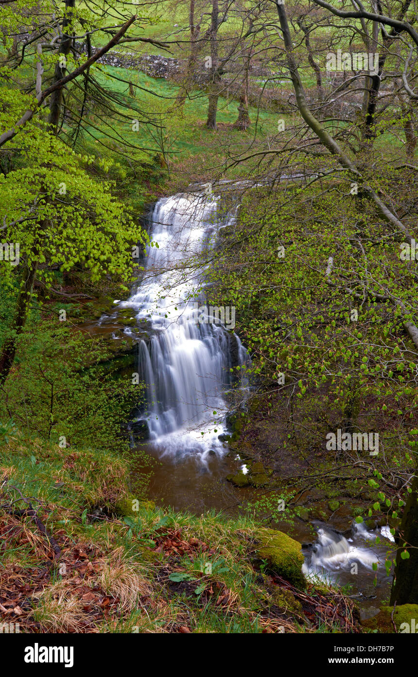 Scalebar Force Waterfall near Malham in the Yorkshire Dales National ...