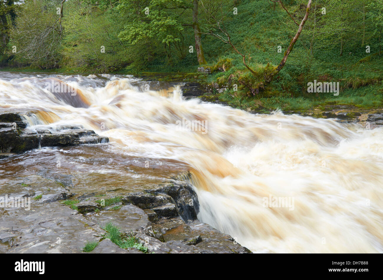 Stainforth Force Waterfall - Seattle, England, UK Stock Photo - Alamy