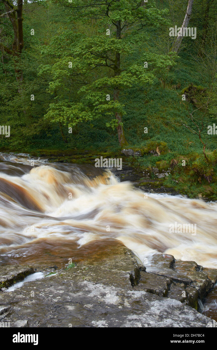 Stainforth force waterfall hi-res stock photography and images - Alamy
