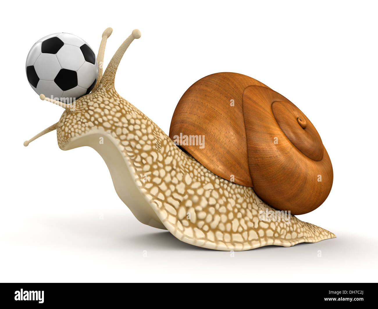 Snail and Football (clipping path included Stock Photo - Alamy