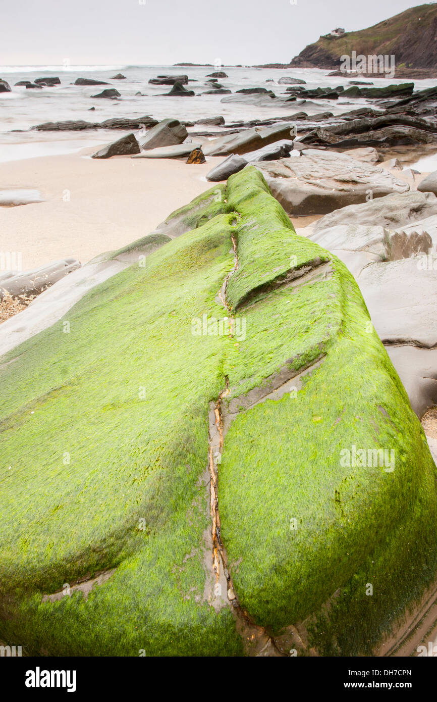 Deba hi-res stock photography and images - Alamy