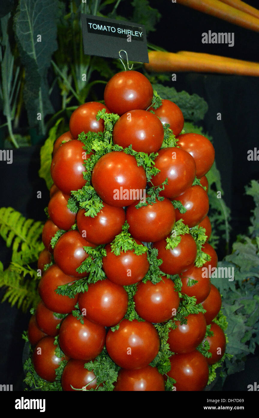 Show tomatoes hi-res stock photography and images - Alamy