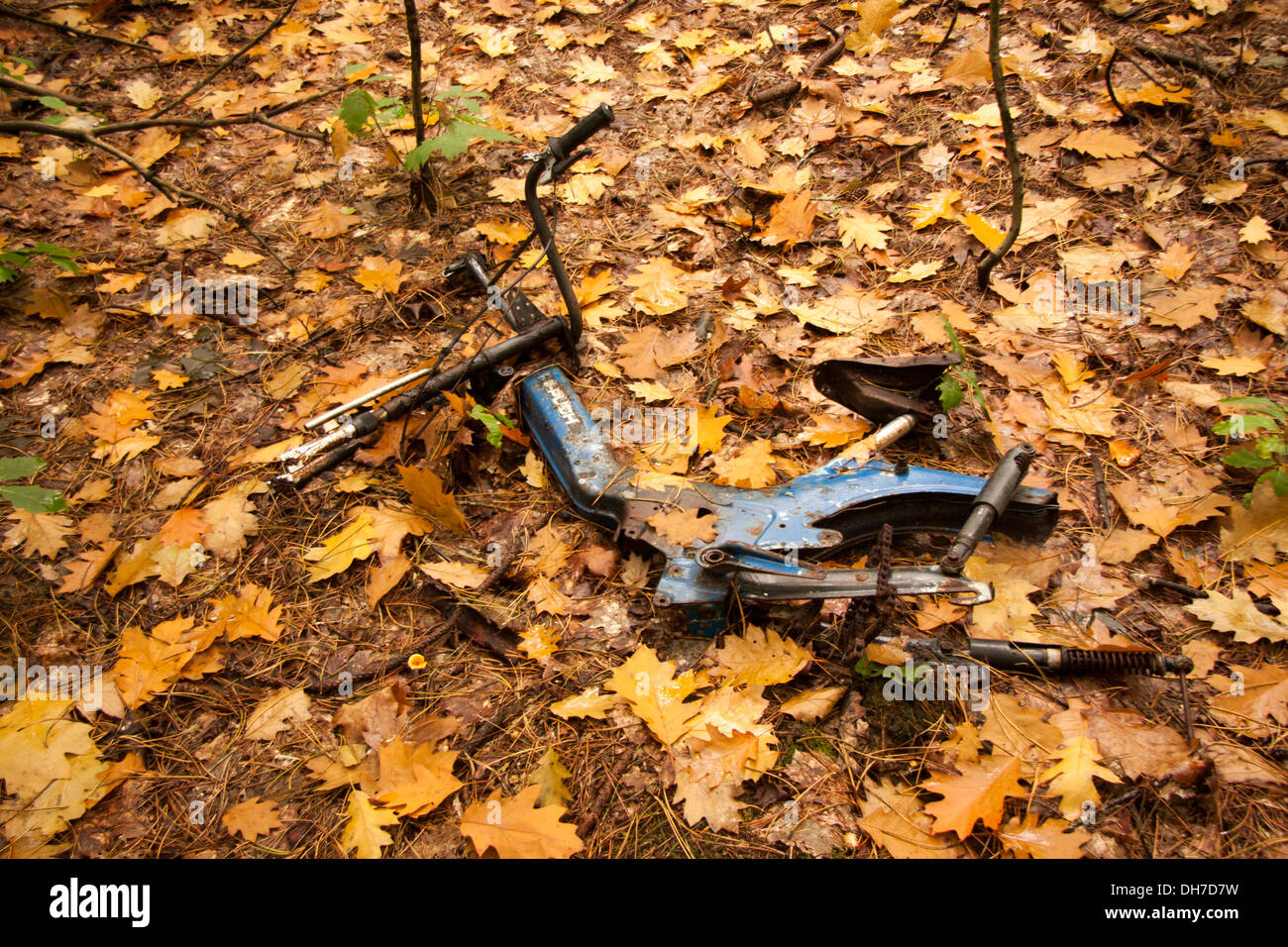 Autumn in the wood ,autumn for a rusty moped Stock Photo - Alamy