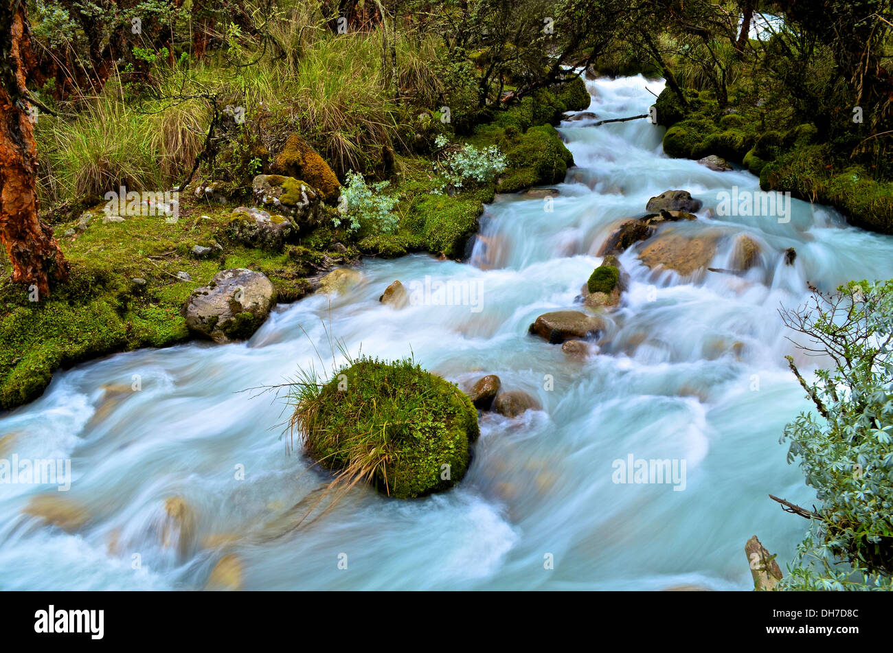 Fresh water from stream hi-res stock photography and images - Alamy