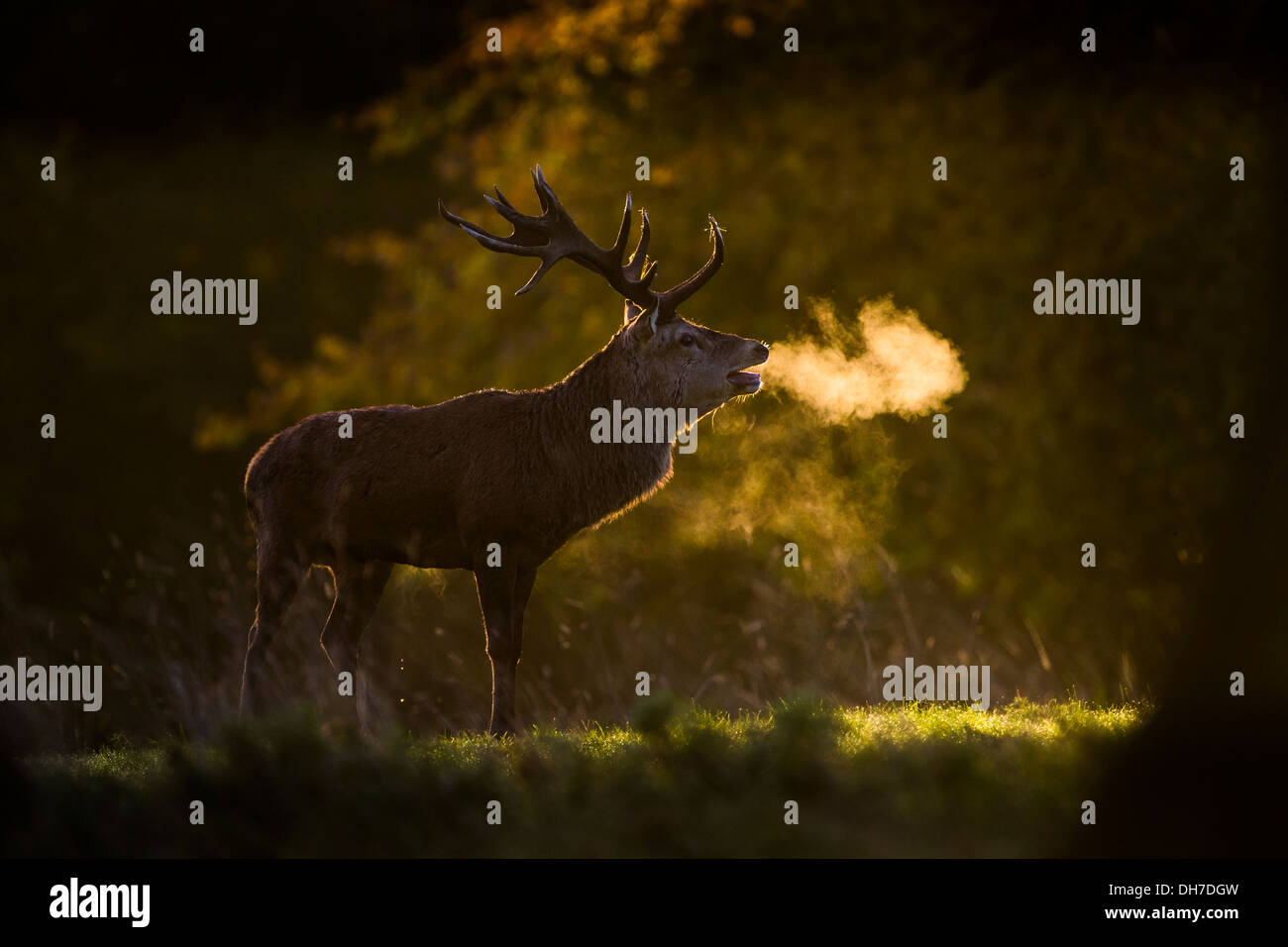 Cold breath air hi-res stock photography and images - Alamy