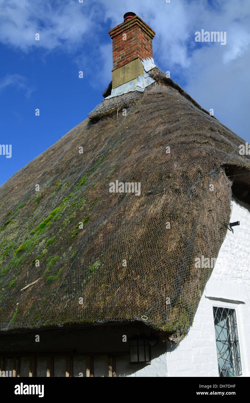 Old thatched thatch roof moss hi-res stock photography and images - Alamy
