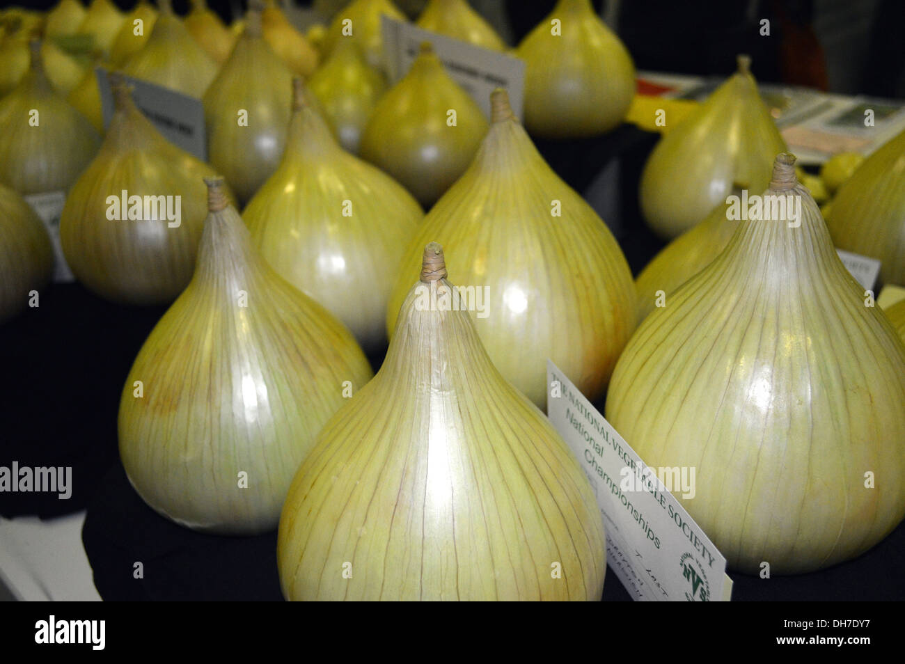 Giant onions hi-res stock photography and images - Alamy