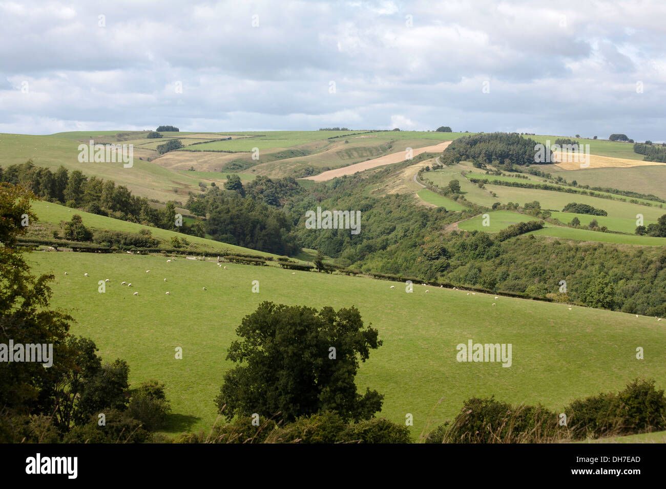 A view over part of The Clun Forest near Newcastle and Clun from The ...