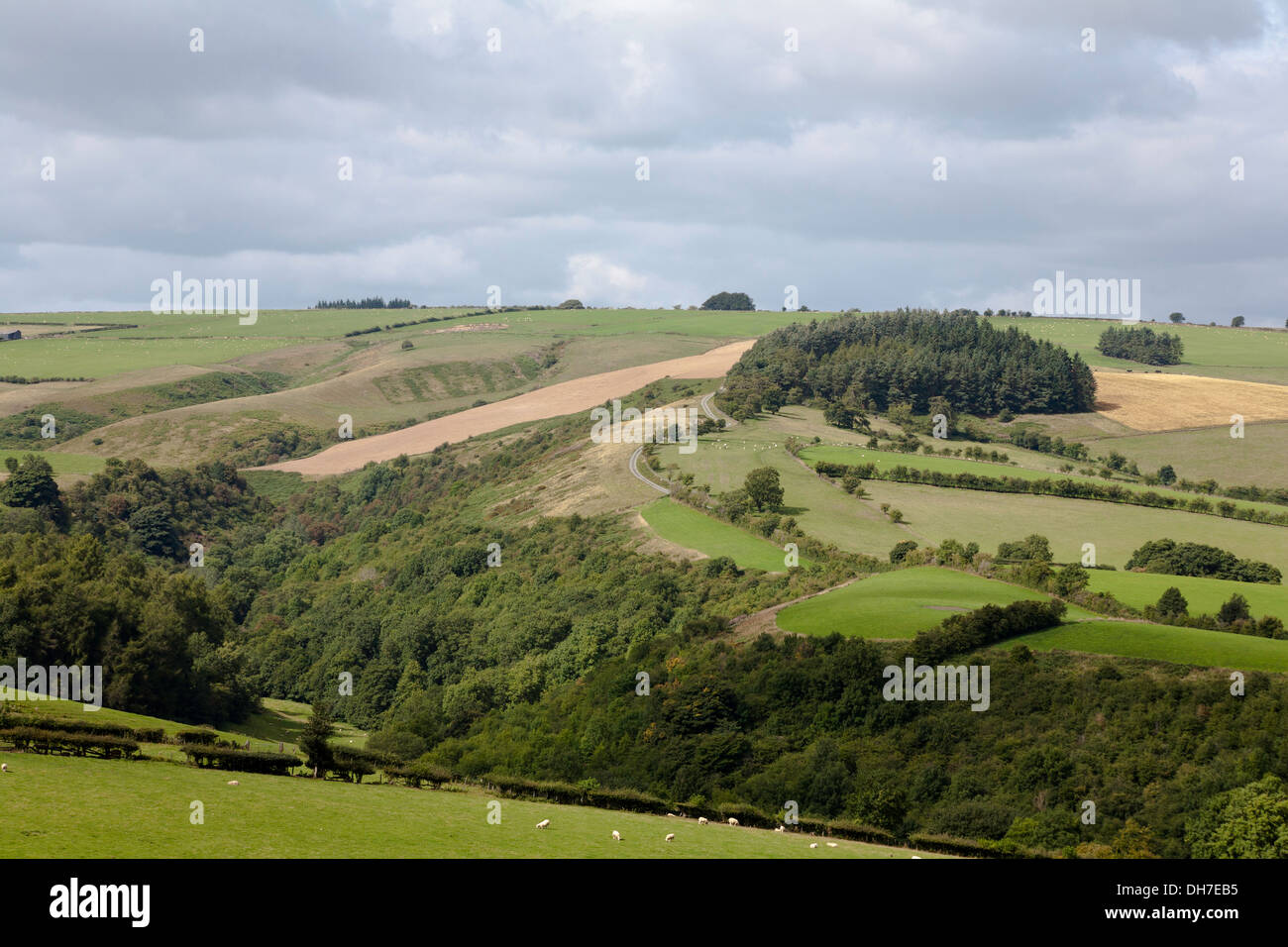 A view over part of The Clun Forest near Newcastle and Clun from The ...