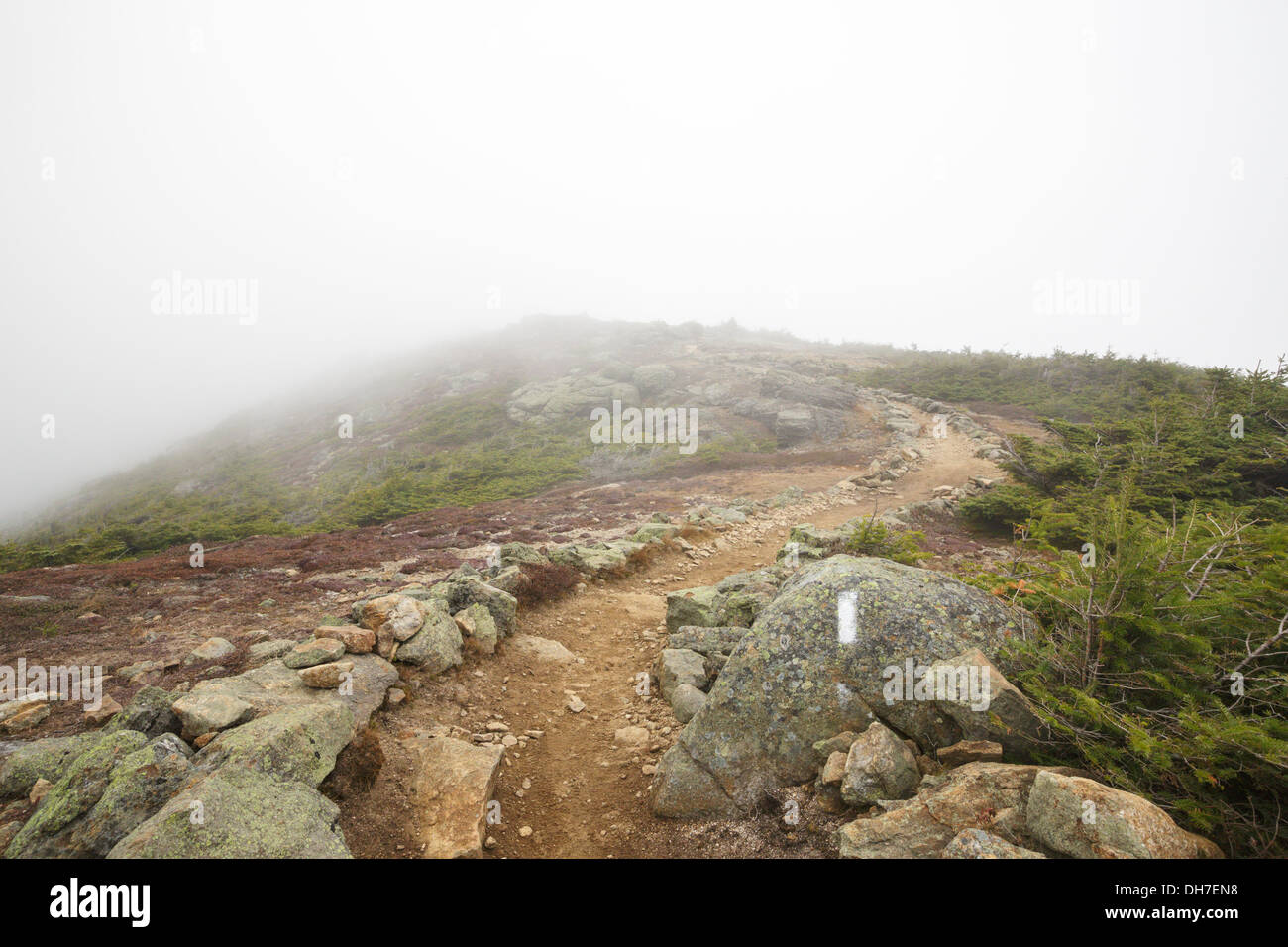 Foggy conditions along the Appalachian Trail (Franconia Ridge Trail) on ...
