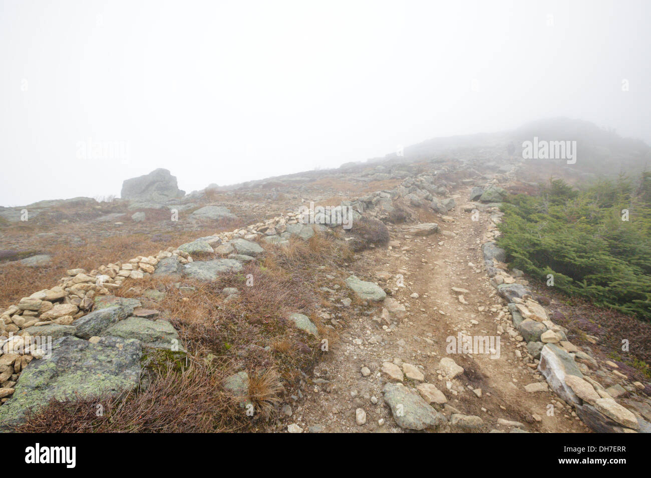 Foggy conditions along the Appalachian Trail (Franconia Ridge Trail) on ...
