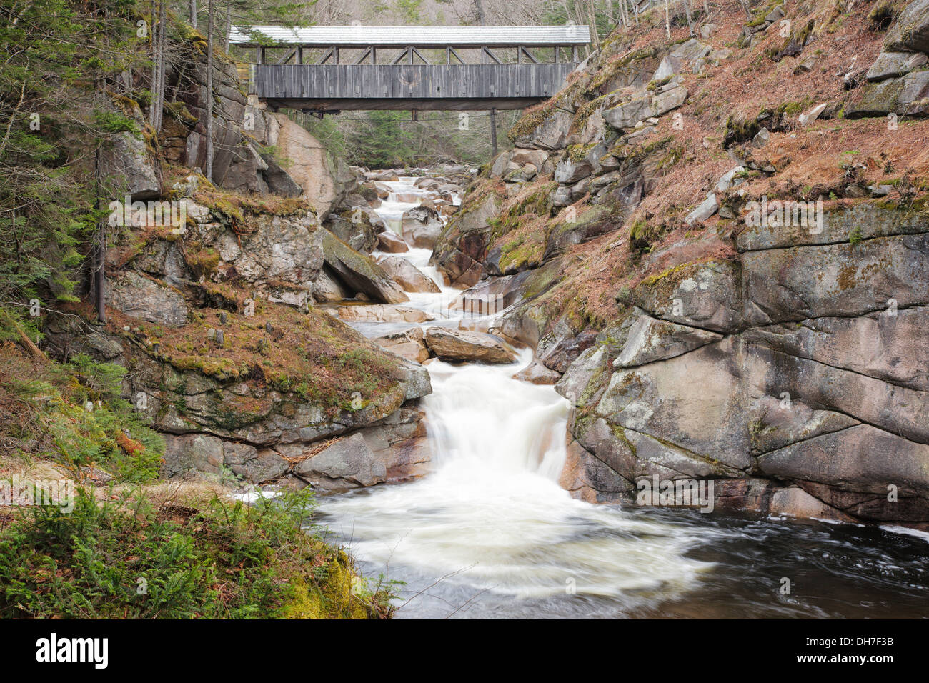 Sentinel Pine Covered Bridge. It is a footbridge which crosses over the ...