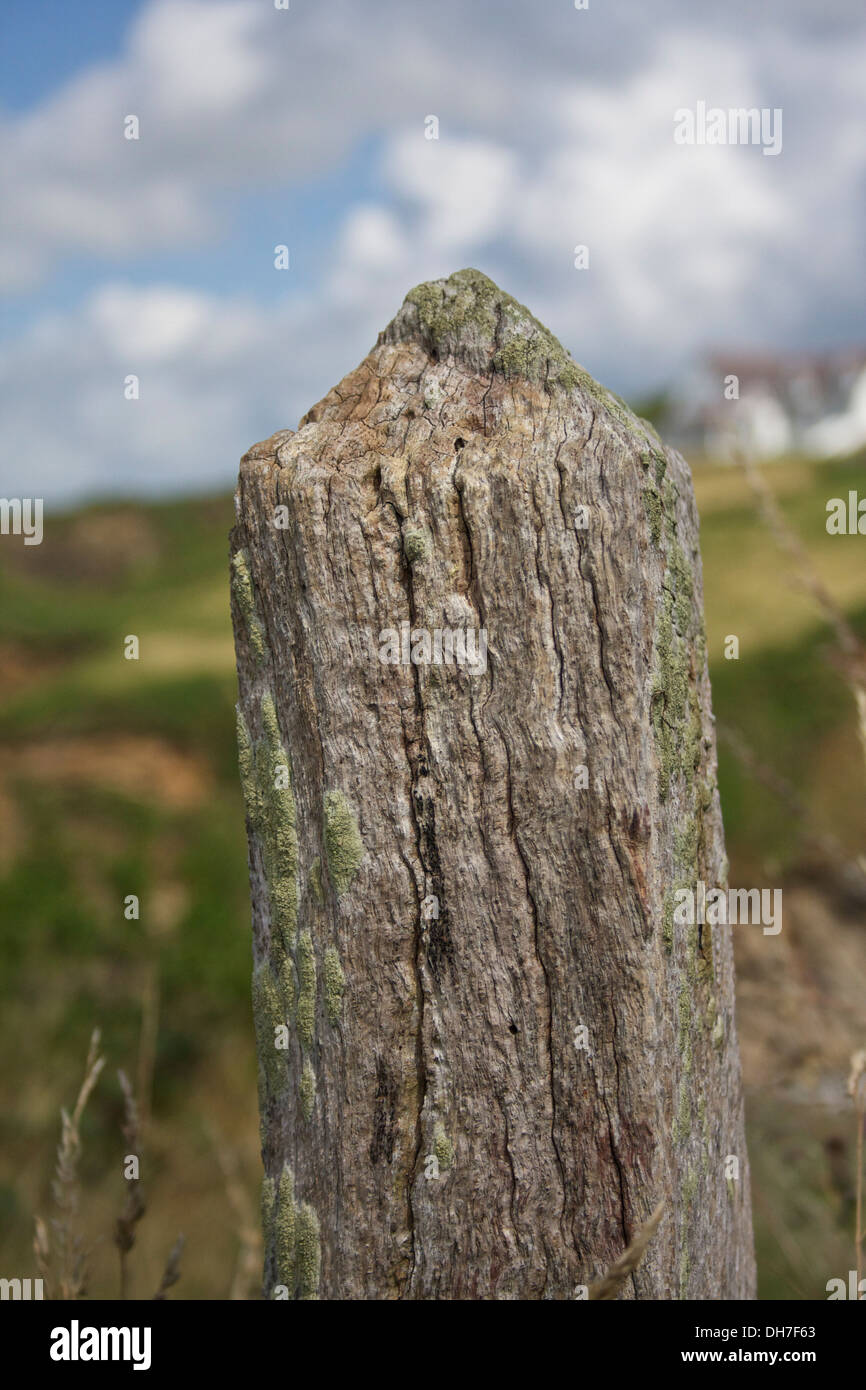 Closeup of decaying wooden fence post Stock Photo - Alamy